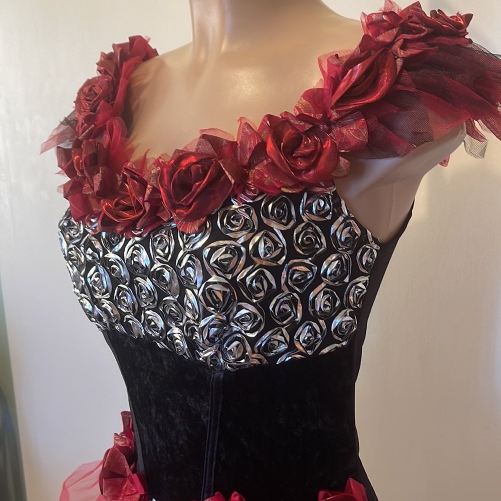 Super Cute Silver/ Red Roses, Costume Womens Mini Dre… - Gem